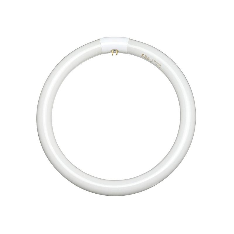 Efficient Circular Fluorescent Lamp for Even Lighting | Electx – Electx ...
