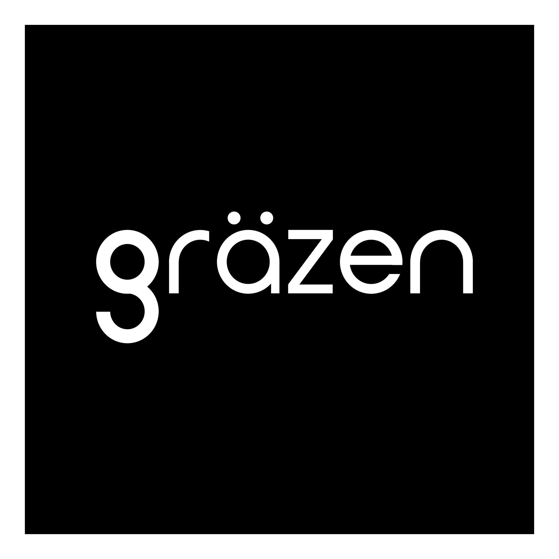 Grazen Electrical Outlets and Switches for Modern Homes Electx – Electx ...
